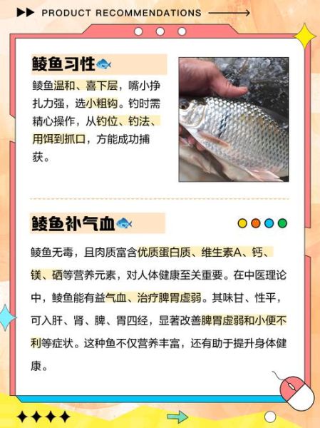 鲮鱼的功效与作用_鲮鱼的禁忌人群-第1张图片-山城妙识 鲮鱼的功效与作用_鲮鱼的禁忌人群-第1张图片-山城妙识