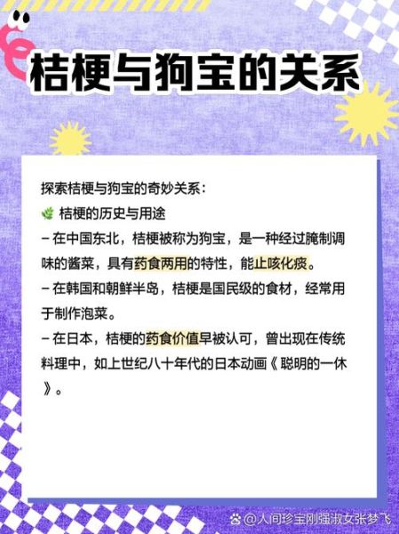 狗宝是什么东西_狗宝有什么功效与作用-第1张图片-山城妙识