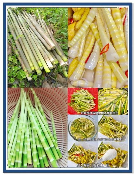 泡竹笋的做法大全_家常窍门-第2张图片-山城妙识