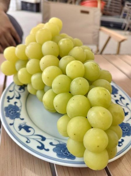 烤羊腿炉子多少钱一台_烤羊腿炉子图片价格-第2张图片-山城妙识