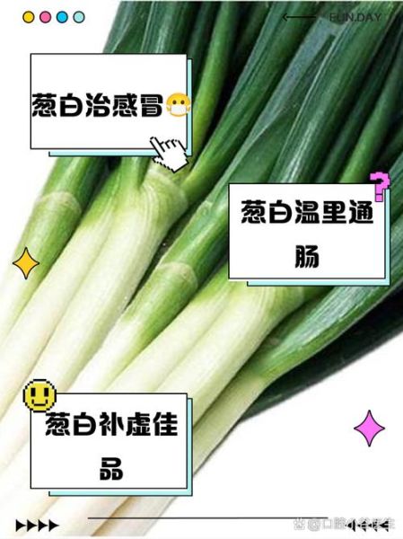 葱白是什么颜色_葱白颜色怎么形容-第1张图片-山城妙识