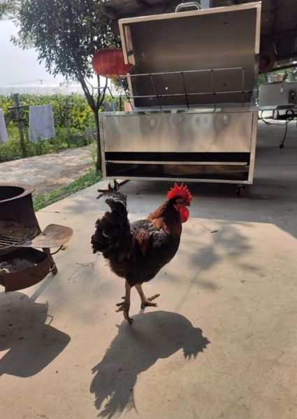 烤羊腿炉子多少钱一台_烤羊腿炉子图片价格-第3张图片-山城妙识