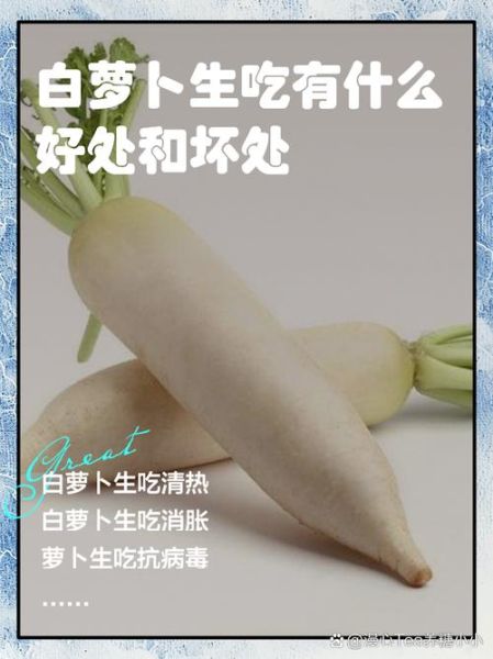 生吃白萝卜的功效与作用_生吃白萝卜的禁忌有哪些-第1张图片-山城妙识 生吃白萝卜的功效与作用_生吃白萝卜的禁忌有哪些-第1张图片-山城妙识