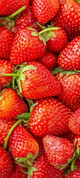 哪些水果最好吃_好吃的水果图片怎么拍-第3张图片-山城妙识