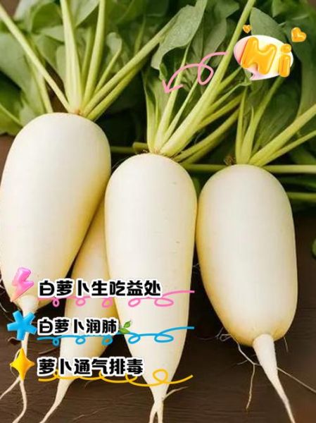 生吃白萝卜的功效与作用_生吃白萝卜的禁忌有哪些-第3张图片-山城妙识 生吃白萝卜的功效与作用_生吃白萝卜的禁忌有哪些-第3张图片-山城妙识
