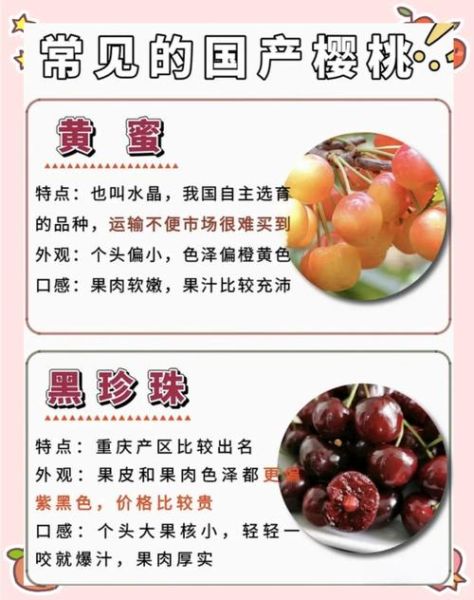 车厘子和樱桃哪个营养价值更高_区别与功效-第3张图片-山城妙识