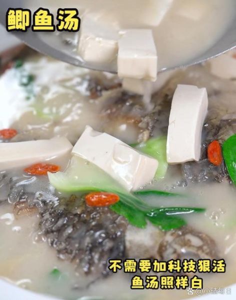 鲫鱼汤怎么煮才白_鲫鱼汤奶白色技巧-第2张图片-山城妙识