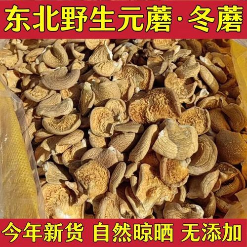 元蘑的功效与作用_元蘑怎么吃最好-第3张图片-山城妙识