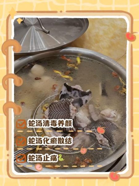 清炖蛇汤怎么做_清炖蛇汤的做法窍门-第2张图片-山城妙识