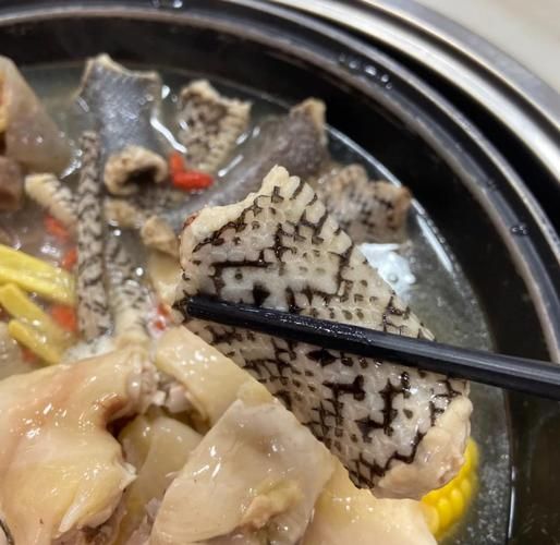 清炖蛇汤怎么做_清炖蛇汤的做法窍门-第3张图片-山城妙识