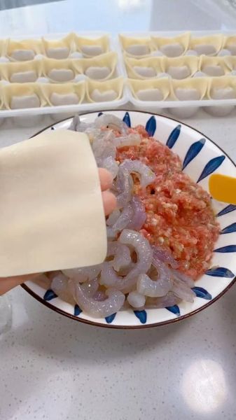 虾仁馄饨怎么包不破皮_虾仁馄饨馅怎么调才鲜嫩-第3张图片-山城妙识