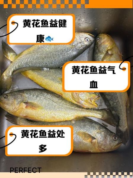 黄花鱼的营养价值_黄花鱼的功效与作用-第2张图片-山城妙识