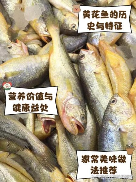 黄花鱼的营养价值_黄花鱼的功效与作用-第3张图片-山城妙识
