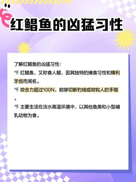 红鲳鱼的营养价值_红鲳鱼的禁忌有哪些-第3张图片-山城妙识