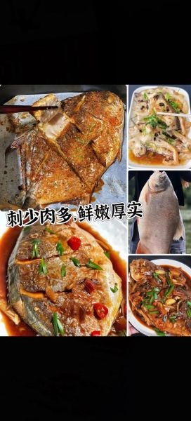红鲳鱼的营养价值_红鲳鱼的禁忌有哪些-第2张图片-山城妙识