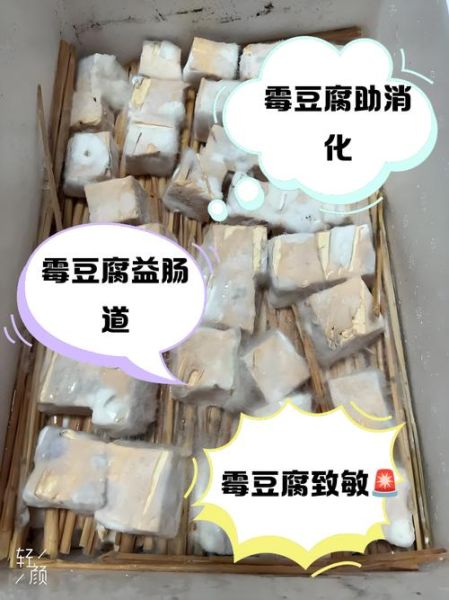 霉豆腐发霉失败的原因_霉豆腐表面发黑还能吃吗-第3张图片-山城妙识
