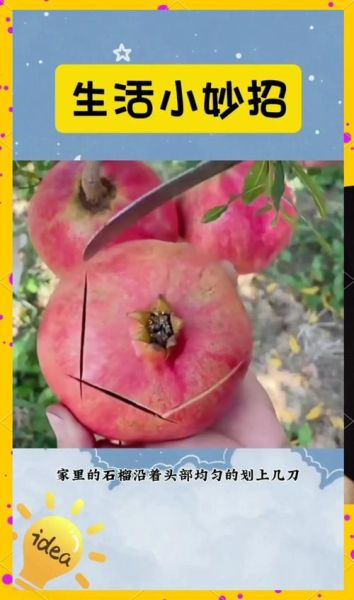 石榴怎么剥皮容易_石榴快速剥皮方法-第3张图片-山城妙识