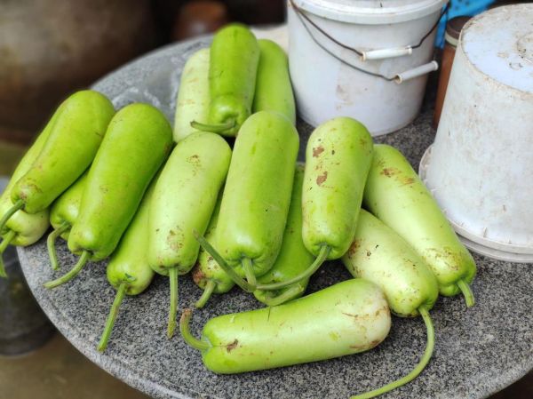 蒲瓜怎么吃_蒲瓜的家常做法大全-第1张图片-山城妙识 蒲瓜怎么吃_蒲瓜的家常做法大全-第1张图片-山城妙识