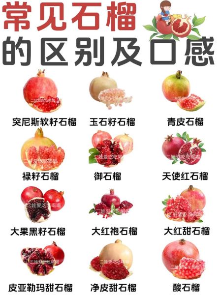 石榴吃籽还是不吃籽_石榴籽能消化吗-第1张图片-山城妙识