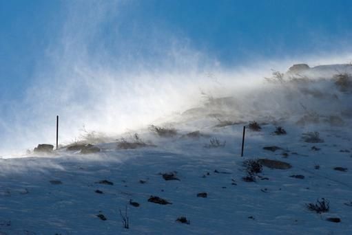 风吹雪什么时候触发_风吹雪攻略全流程-第3张图片-山城妙识