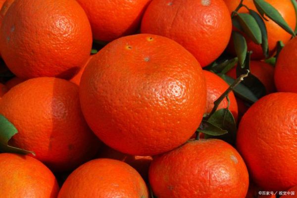 血橙和普通橙子的区别_血橙为什么果肉是红色的-第1张图片-山城妙识 血橙和普通橙子的区别_血橙为什么果肉是红色的-第1张图片-山城妙识