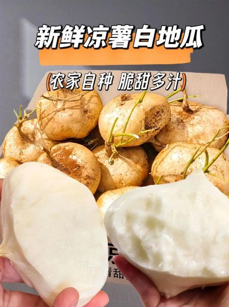 白地瓜怎么炒好吃_白地瓜的做法大全家常-第1张图片-山城妙识