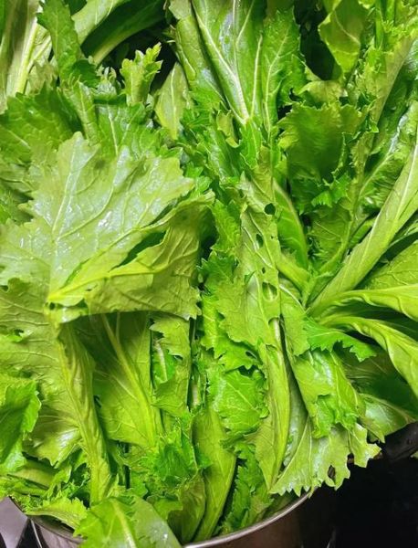 雪里蕻怎么做好吃_腌制雪里蕻的家常做法-第3张图片-山城妙识 雪里蕻怎么做好吃_腌制雪里蕻的家常做法-第3张图片-山城妙识