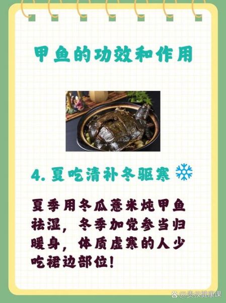 女人吃甲鱼有什么好处_女人吃甲鱼能补气血吗-第3张图片-山城妙识
