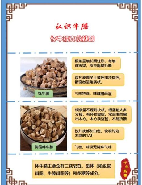 牛膝骨怎么炖最软烂_牛膝骨汤的做法窍门-第1张图片-山城妙识