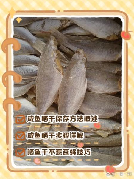 干咸鱼怎么腌制_干咸鱼晒多久才香-第1张图片-山城妙识