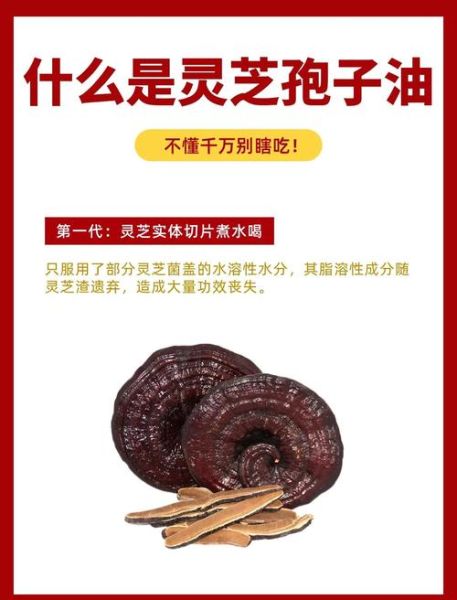 灵芝孢子油的功效与作用_灵芝孢子油怎么吃效果最好-第3张图片-山城妙识 灵芝孢子油的功效与作用_灵芝孢子油怎么吃效果最好-第3张图片-山城妙识