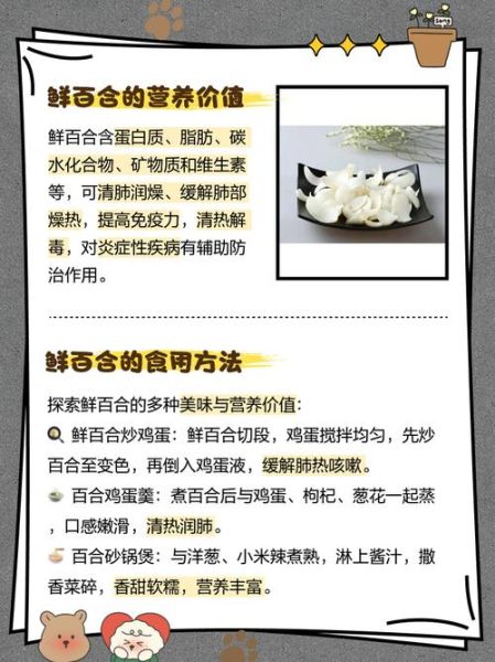 鲜百合怎么吃最好_鲜百合的功效与作用-第1张图片-山城妙识