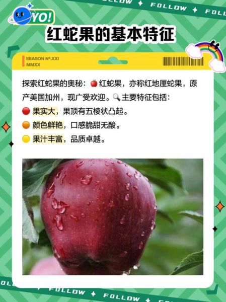 蛇果价格多少钱一斤_蛇果为什么这么贵-第1张图片-山城妙识