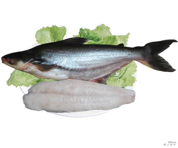 深海鳕鱼图片大全_深海鳕鱼长什么样-第1张图片-山城妙识