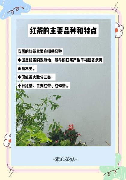 红茶有哪些种类_红茶有哪些功效-第3张图片-山城妙识