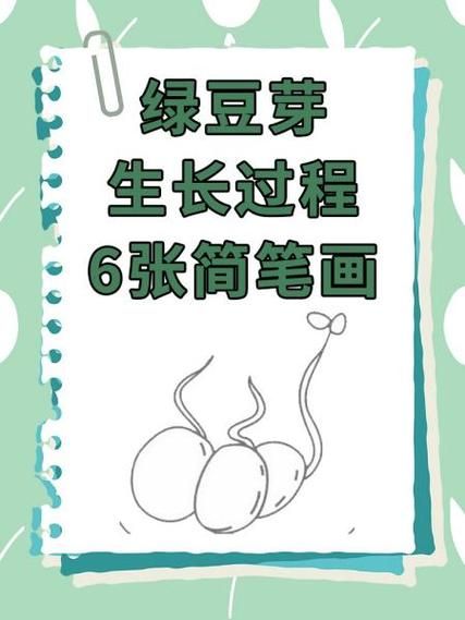 发豆芽的详细步骤_发豆芽失败原因-第2张图片-山城妙识