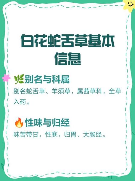 白花蛇舌草和半枝莲能一起喝吗_白花蛇舌草半枝莲功效与作用-第1张图片-山城妙识