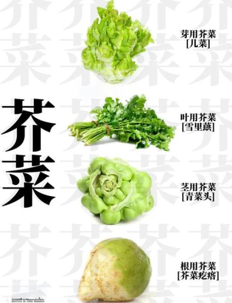 芥菜怎么做好吃_芥菜的家常做法视频-第1张图片-山城妙识