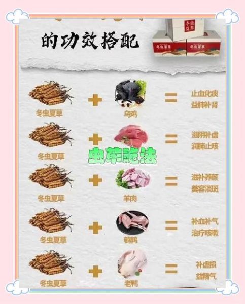 虫草怎么吃效果最好_虫草的最佳食用方法-第3张图片-山城妙识