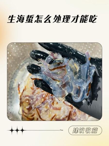 鲜海蜇怎么吃_鲜海蜇怎么处理才能吃-第1张图片-山城妙识