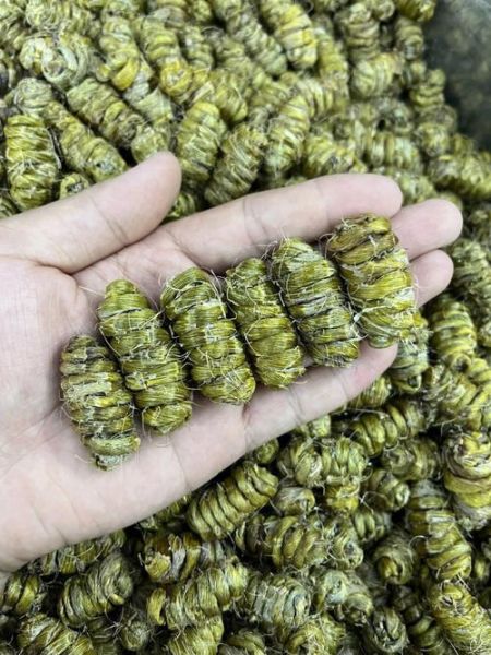 野生铁皮石斛多少钱一斤_野生铁皮石斛价格为什么差异大-第2张图片-山城妙识