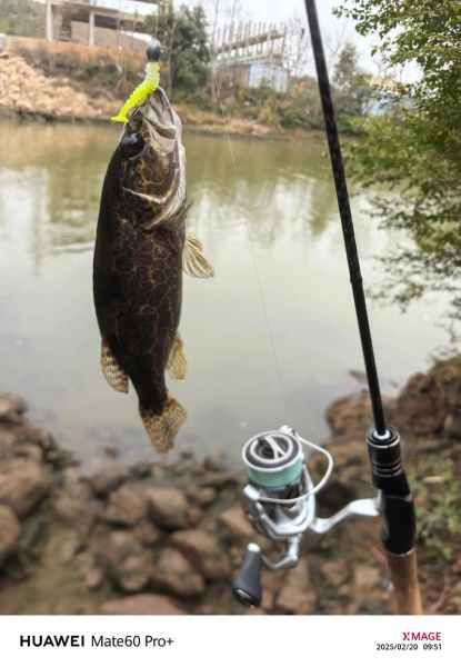 路亚鳜鱼用什么竿_路亚鳜鱼竿多长合适-第2张图片-山城妙识