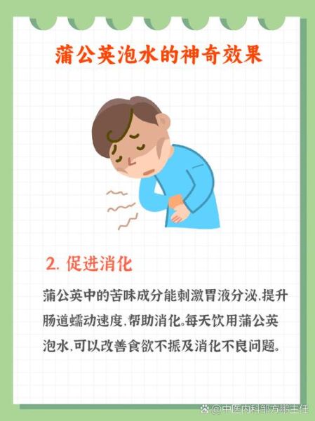 蒲公英有什么功效_蒲公英泡水喝的正确方法-第3张图片-山城妙识