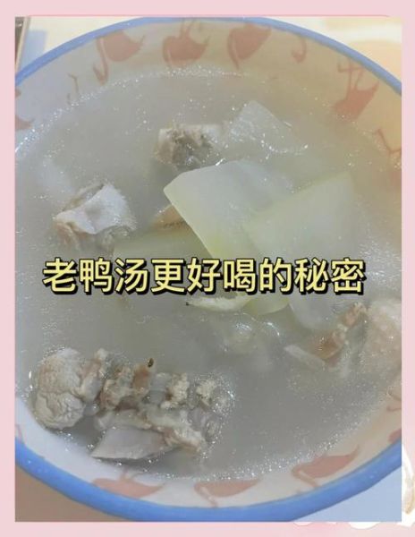 鸭肉煲冬瓜汤怎么做_冬瓜汤去腥技巧-第2张图片-山城妙识