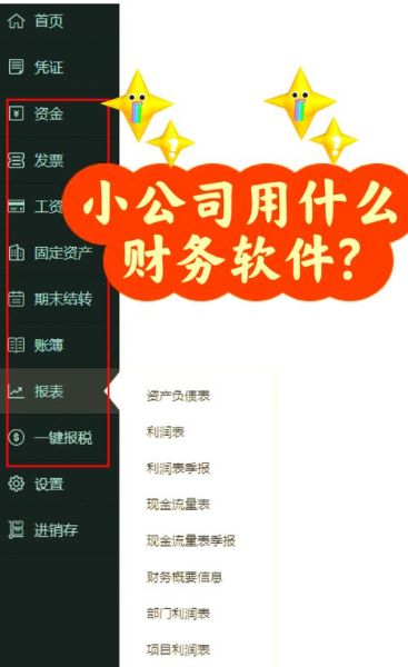 柠檬云财务软件手机版怎么使用_柠檬云财务软件手机版有哪些功能-第3张图片-山城妙识