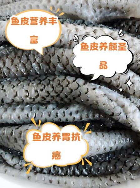 鱼皮的功效与作用_鱼皮胶原蛋白怎么吃好-第1张图片-山城妙识