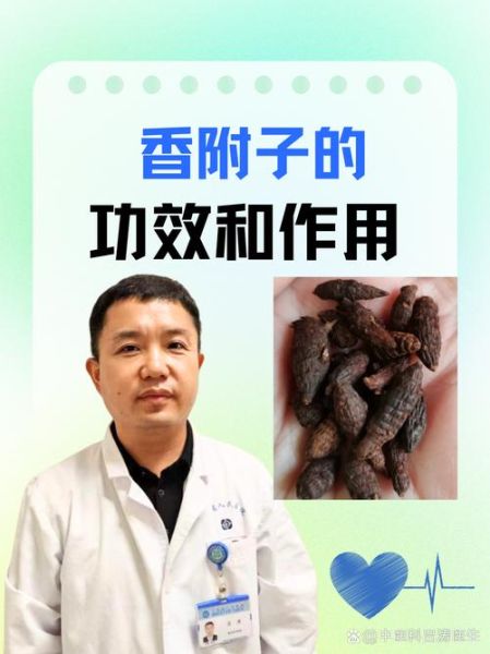 香附和附子是同一味中药吗_功效区别与使用禁忌-第1张图片-山城妙识 香附和附子是同一味中药吗_功效区别与使用禁忌-第1张图片-山城妙识