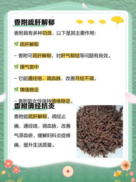 香附和附子是同一味中药吗_功效区别与使用禁忌-第3张图片-山城妙识 香附和附子是同一味中药吗_功效区别与使用禁忌-第3张图片-山城妙识