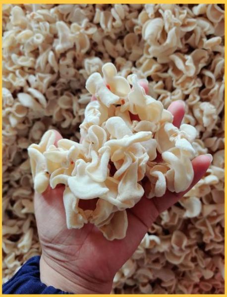 野生白木耳图片_如何辨别真假野生白木耳-第3张图片-山城妙识 野生白木耳图片_如何辨别真假野生白木耳-第3张图片-山城妙识