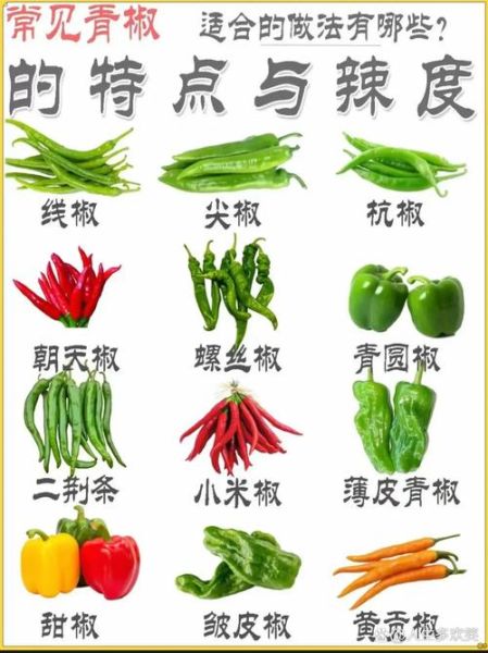 辣椒品种大全及图片名称_如何区分辣椒种类-第1张图片-山城妙识